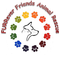 FURRever Friends Animal Rescue | CUDDLY