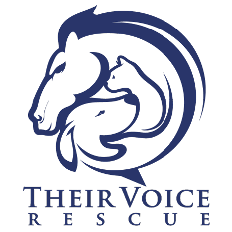 Their Voice Rescue | CUDDLY